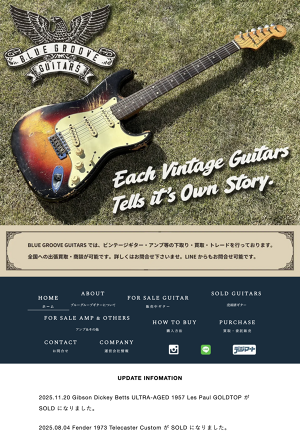 BLUE GROOVE GUITARS